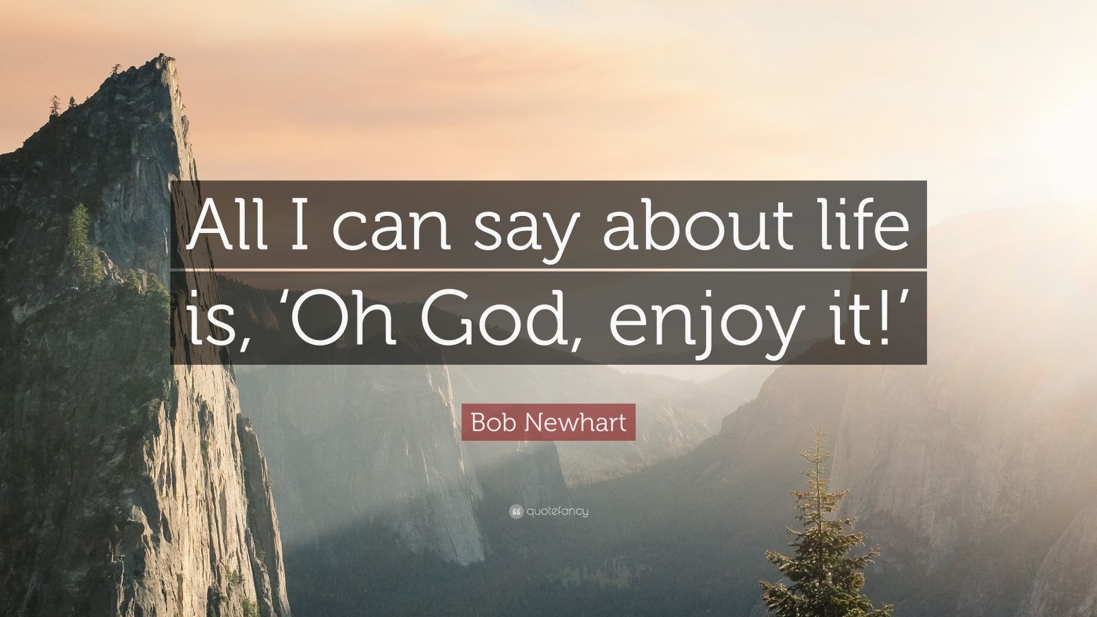 Bob Newhart Quote: “All I can say about life is, ‘Oh God, enjoy it!’”