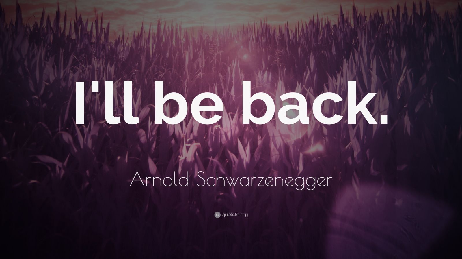 Arnold Schwarzenegger Quote: “I'll be back.” (19 wallpapers) - Quotefancy