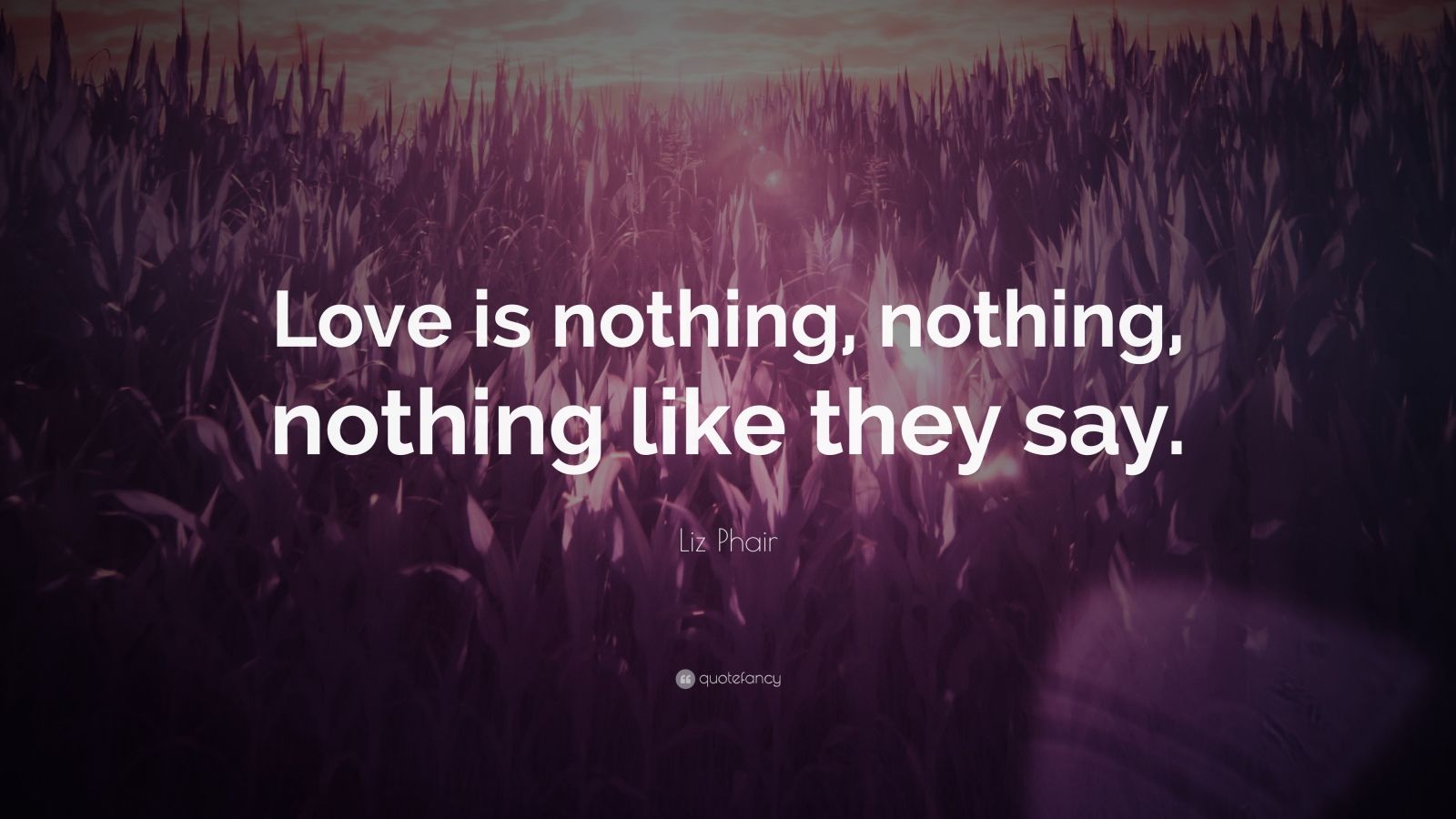 Liz Phair Quote: “Love is nothing, nothing, nothing like they say.”
