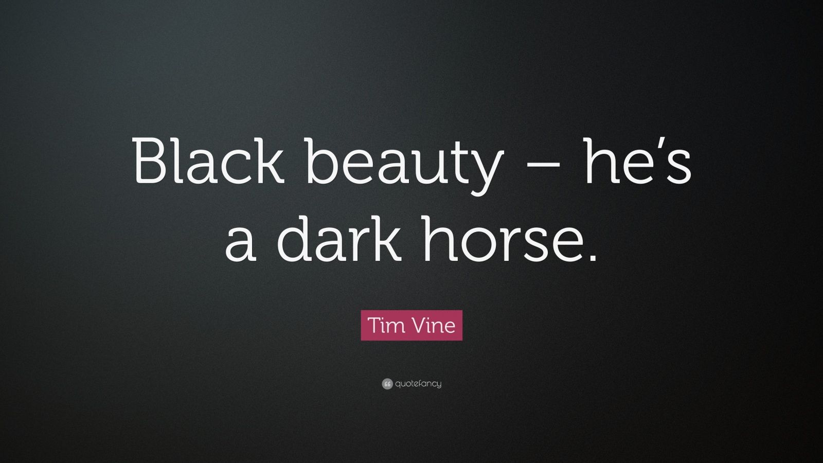 Top 50 Tim Vine Quotes (2025 Update) - QuoteFancy