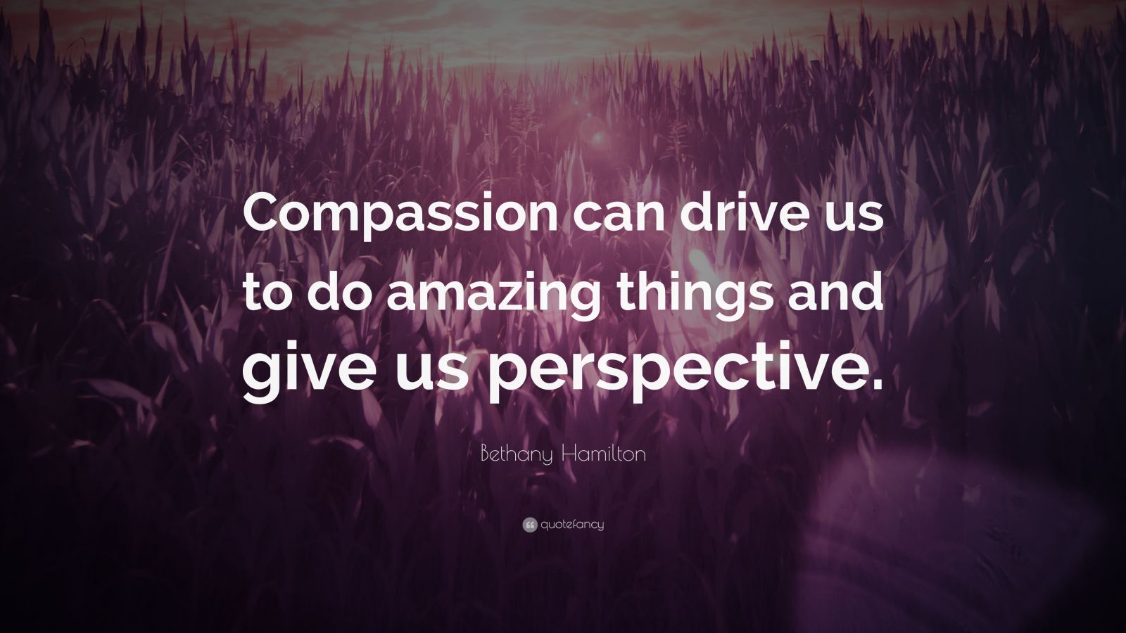 Bethany Hamilton Quote: “Compassion can drive us to do amazing things ...