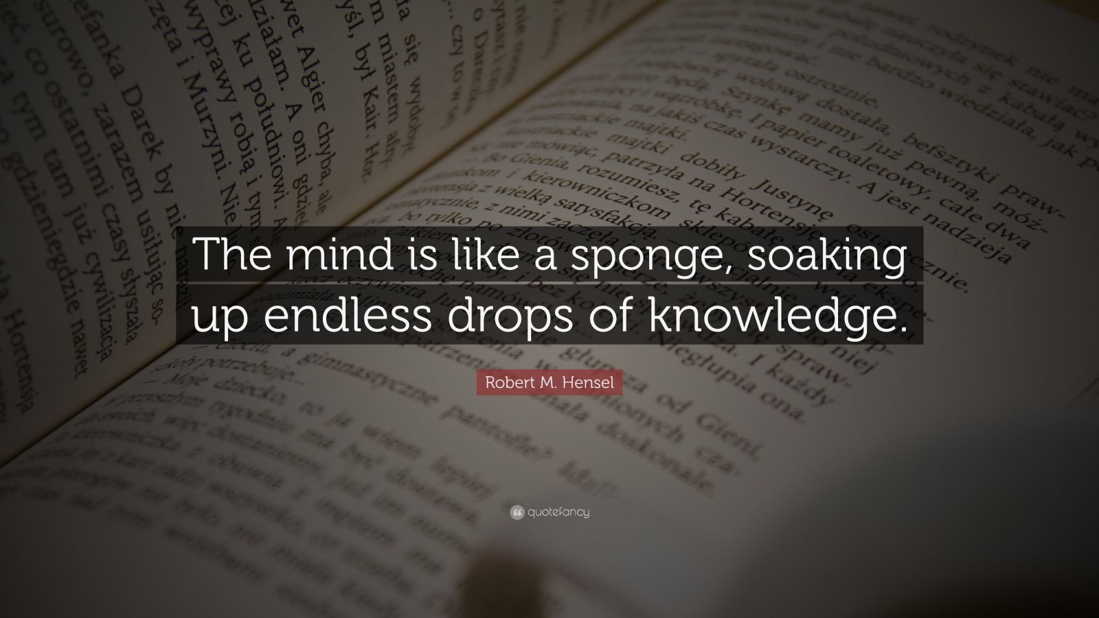 Robert M. Hensel Quote: “The mind is like a sponge, soaking up endless ...
