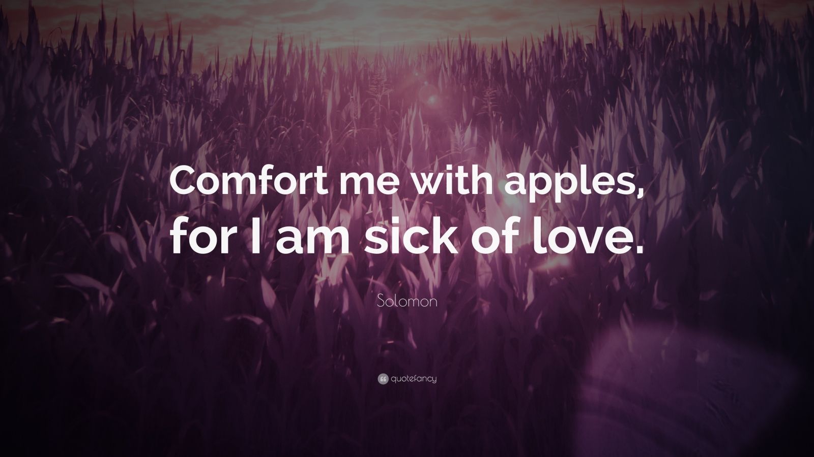 Solomon Quote: “Comfort me with apples, for I am sick of love.” (7 ...