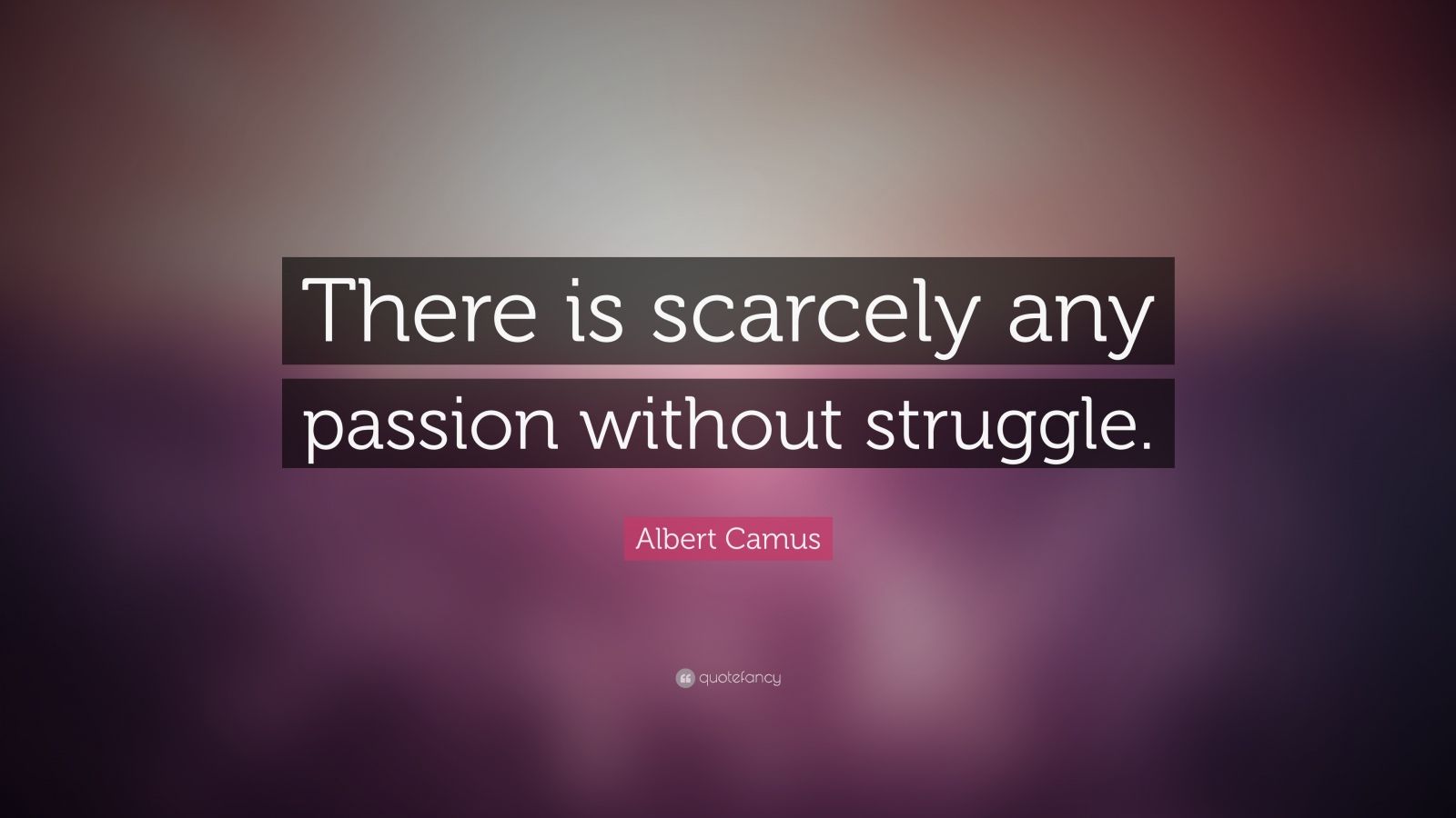Albert Camus Quote: “There is scarcely any passion without struggle ...
