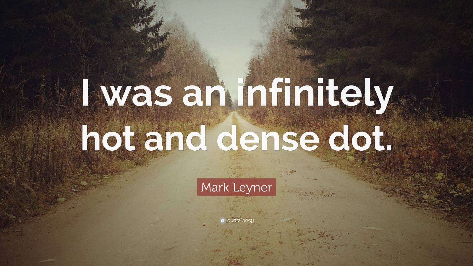 Mark Leyner Quote: “I was an infinitely hot and dense dot.” (7 ...