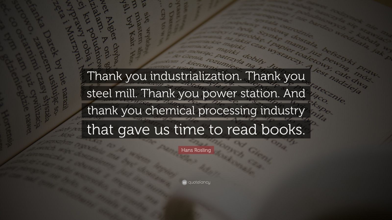 Hans Rosling Quote: “Thank you industrialization. Thank you steel mill ...