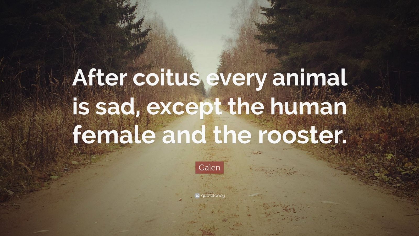 Galen Quote: “After coitus every animal is sad, except the human female ...