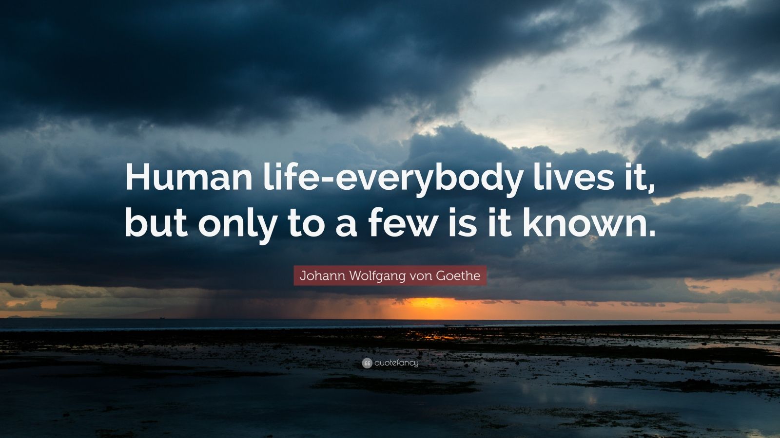 Johann Wolfgang von Goethe Quote: “Human life-everybody lives it, but ...