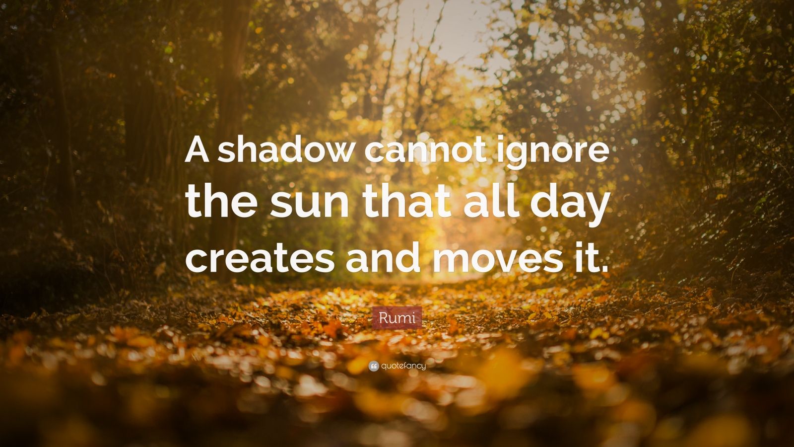 Rumi Quote: “A shadow cannot ignore the sun that all day creates and ...