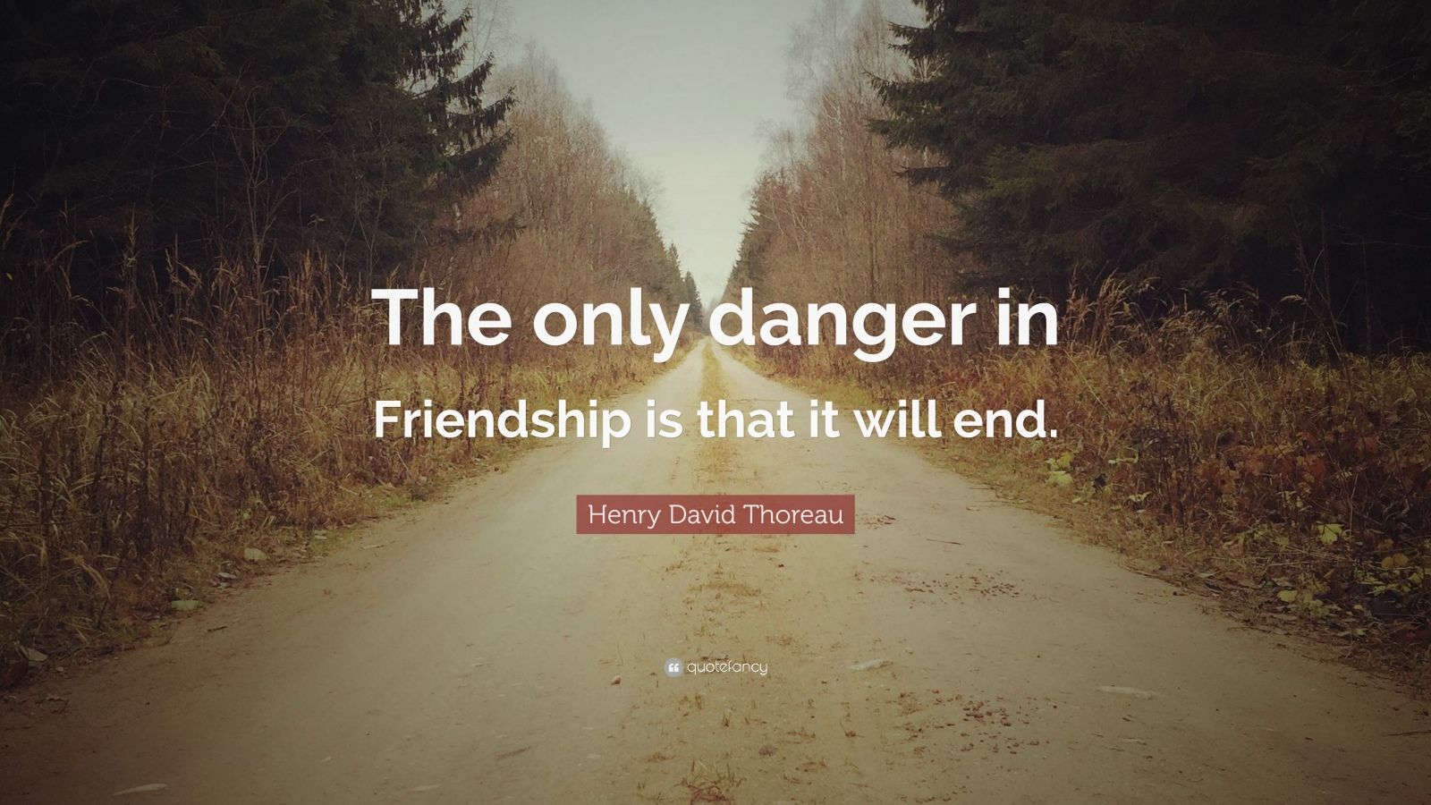 Henry David Thoreau Quote: “The only danger in Friendship is that it ...