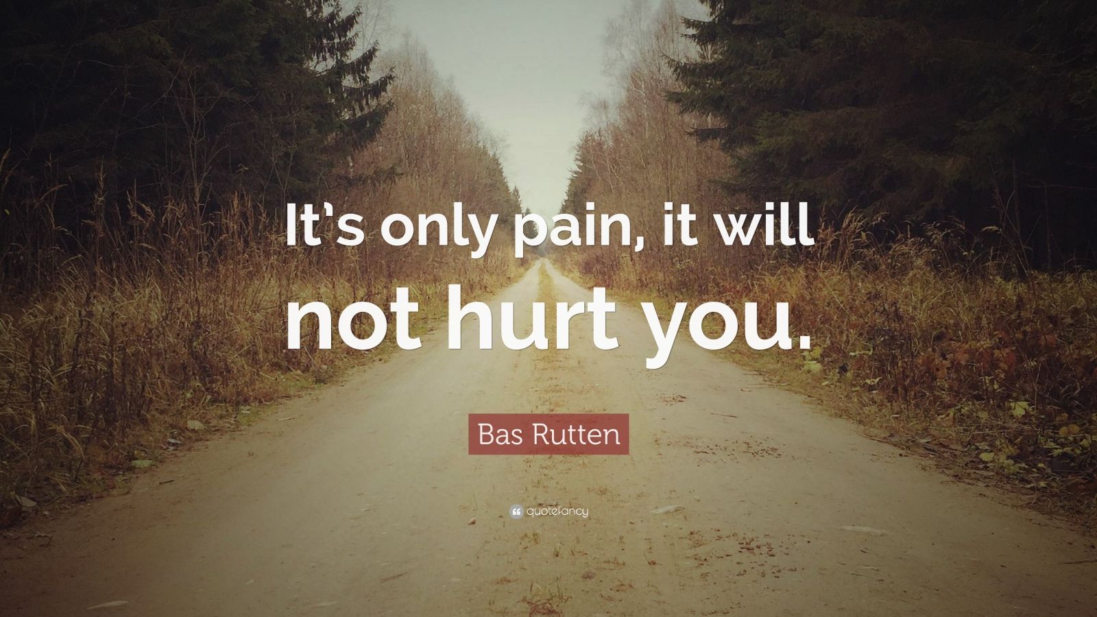 MMA Quotes (40 wallpapers) - Quotefancy