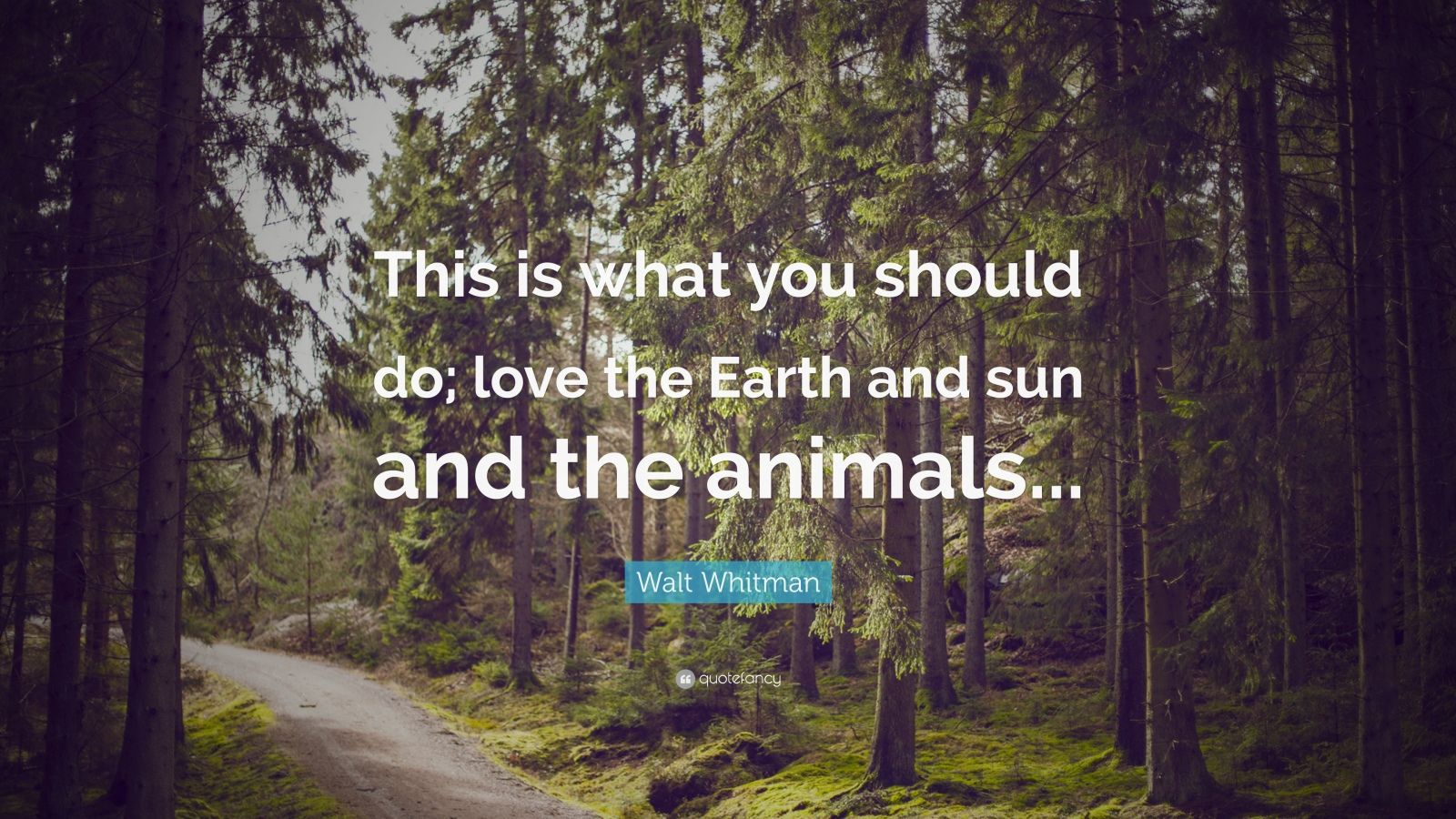 Walt Whitman Quote: “This is what you should do; love the Earth and sun ...