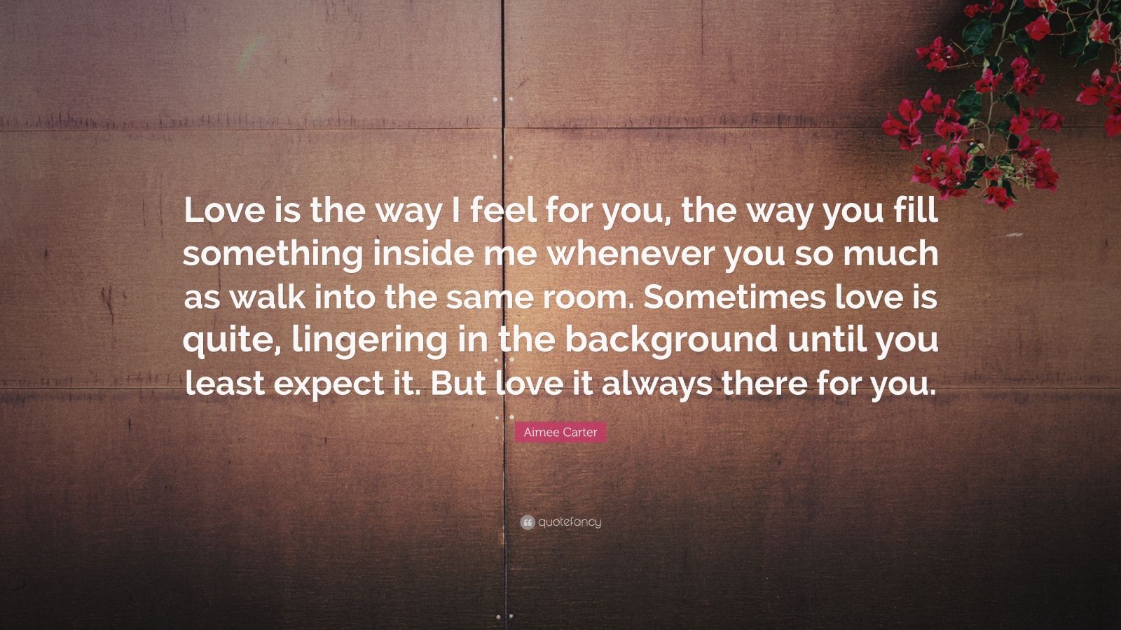 Aimee Carter Quote: “Love is the way I feel for you, the way you fill ...