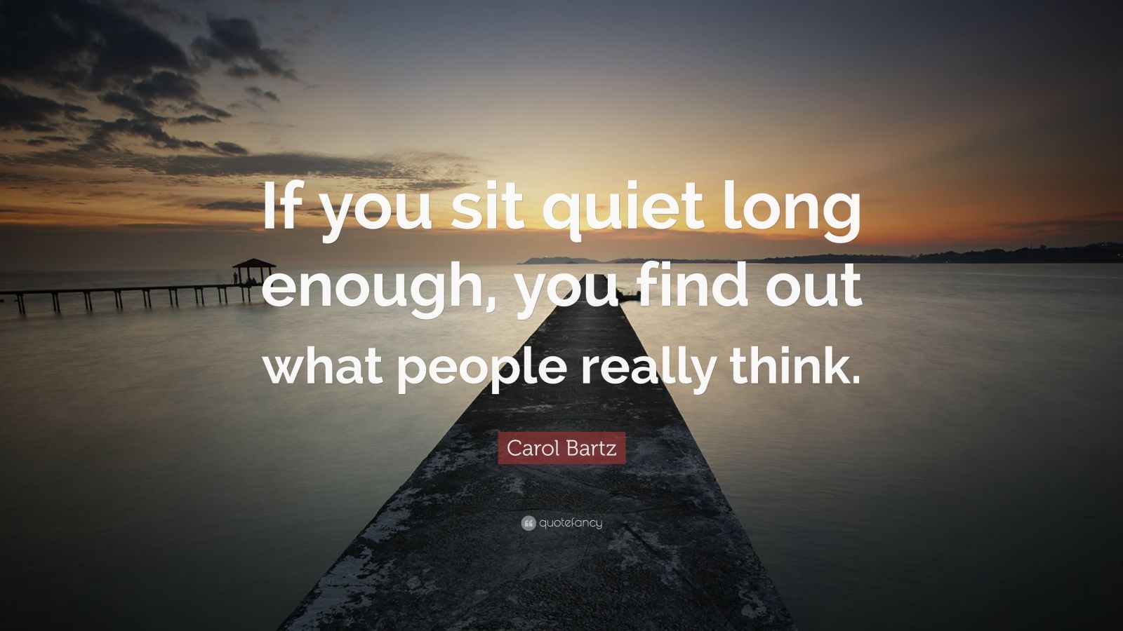 Carol Bartz Quote: “If you sit quiet long enough, you find out what ...