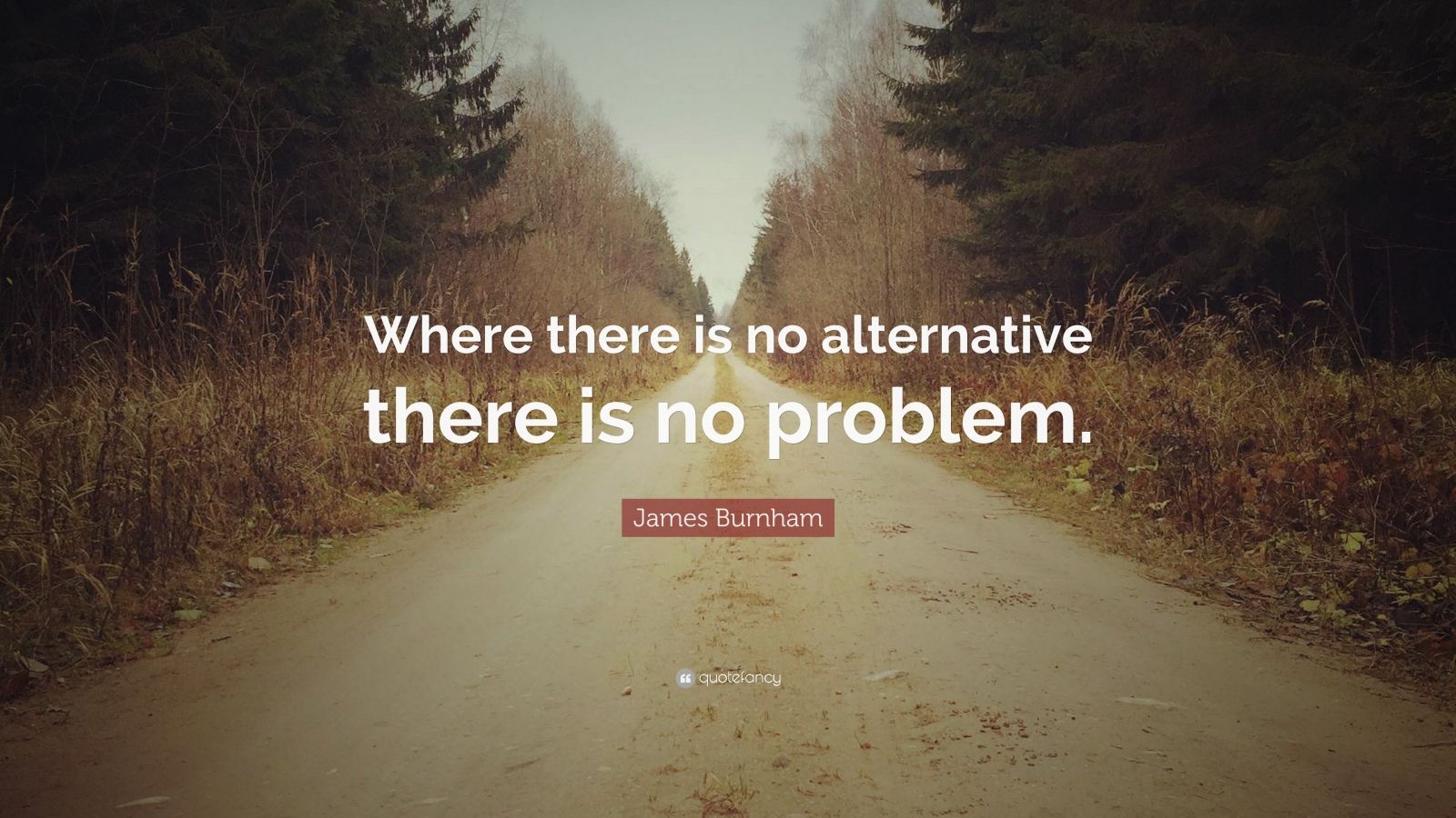 James Burnham Quote: “Where there is no alternative there is no problem.”