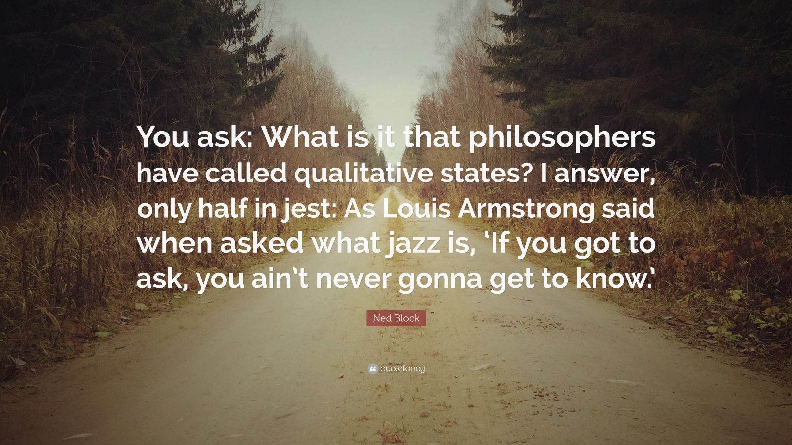 Ned Block Quote: “You ask: What is it that philosophers have called ...