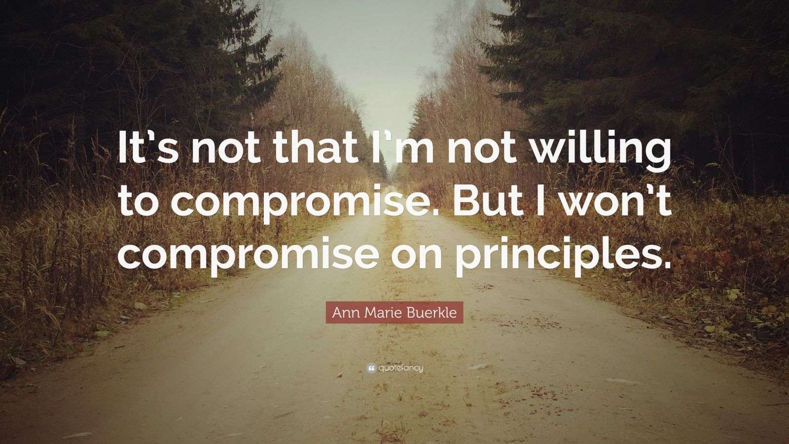 Ann Marie Buerkle Quote: “It’s not that I’m not willing to compromise ...