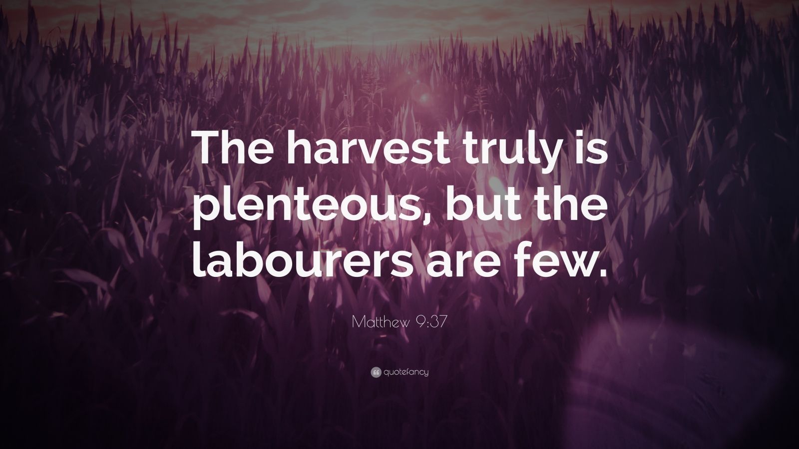 Matthew 9:37 Quote: “The harvest truly is plenteous, but the labourers ...