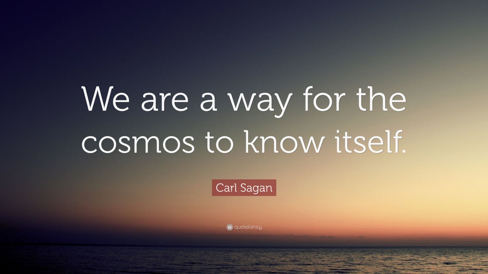 Carl Sagan Quote: “We are a way for the cosmos to know itself.” (18 ...