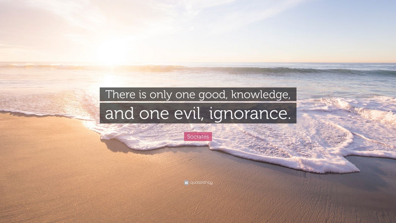 Socrates Quote: “There is only one good, knowledge, and one evil ...