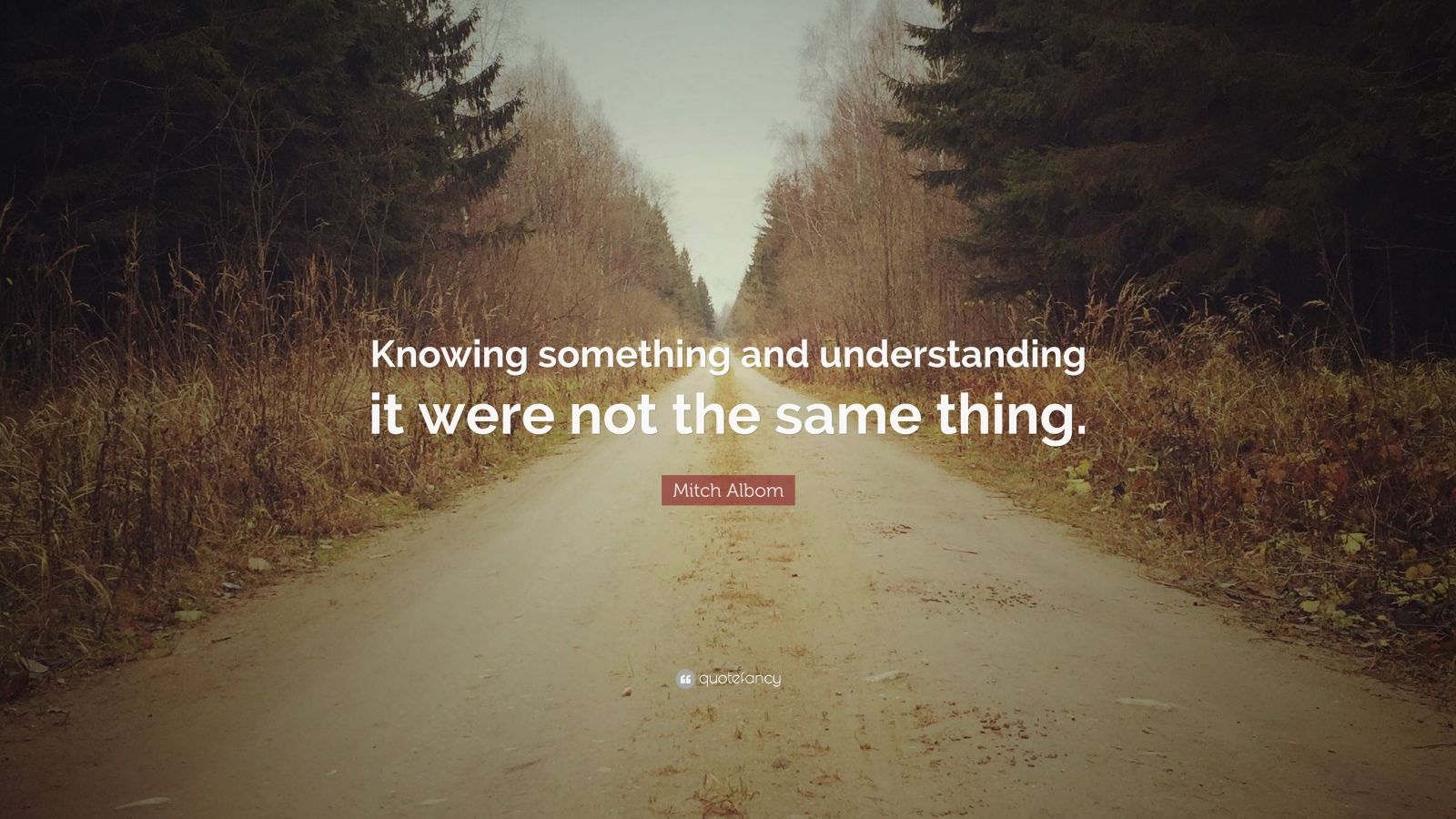 Mitch Albom Quote: “Knowing something and understanding it were not the ...