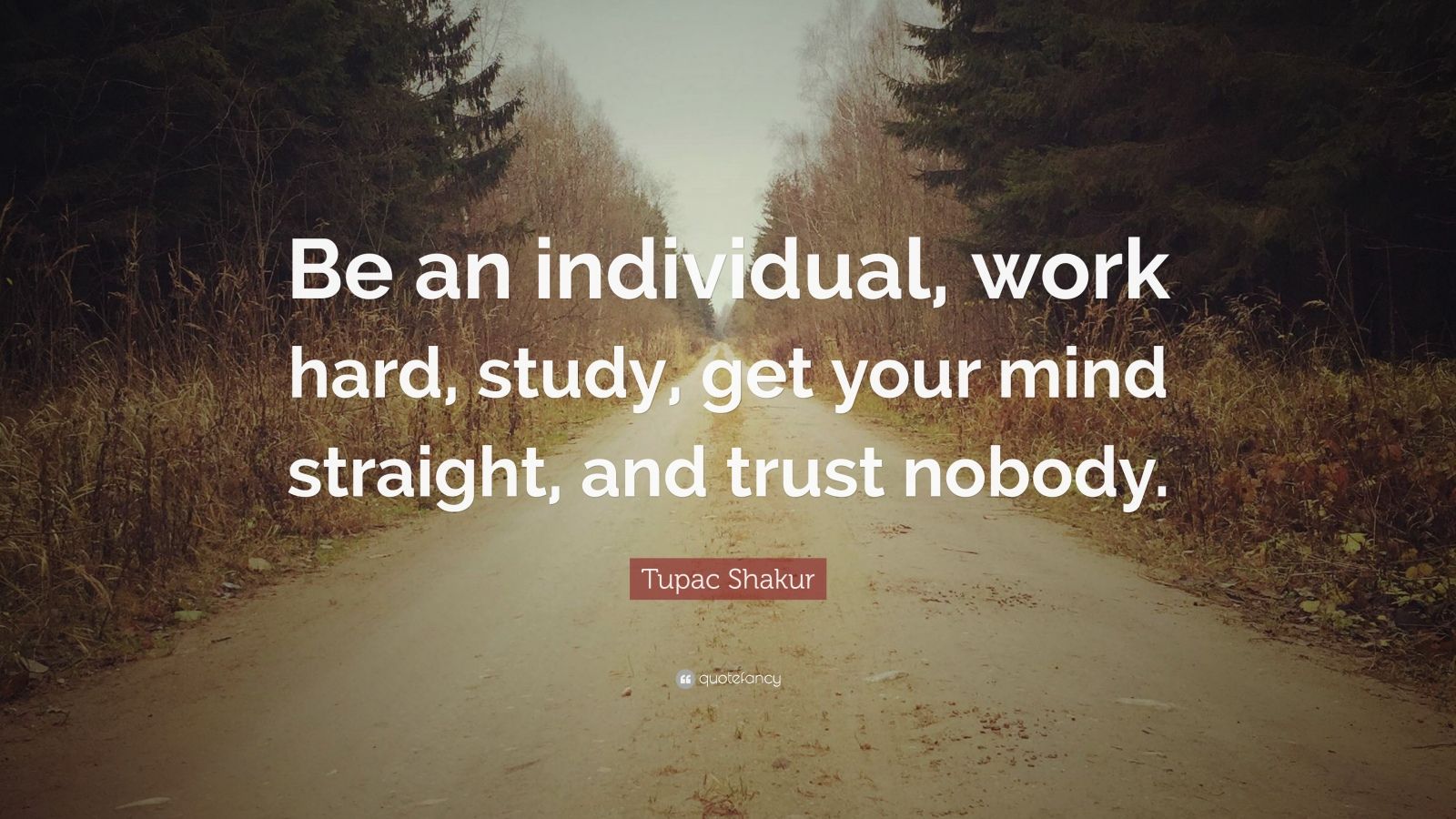 Tupac Shakur Quote: “Be an individual, work hard, study, get your mind ...