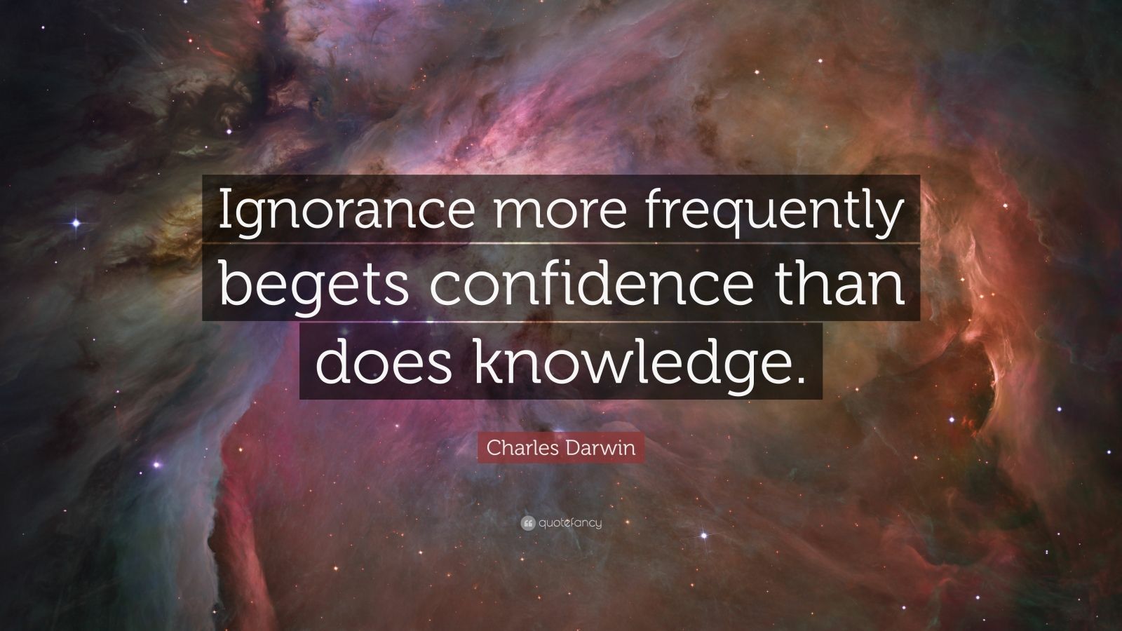 Charles Darwin Quote: “Ignorance more frequently begets confidence than ...