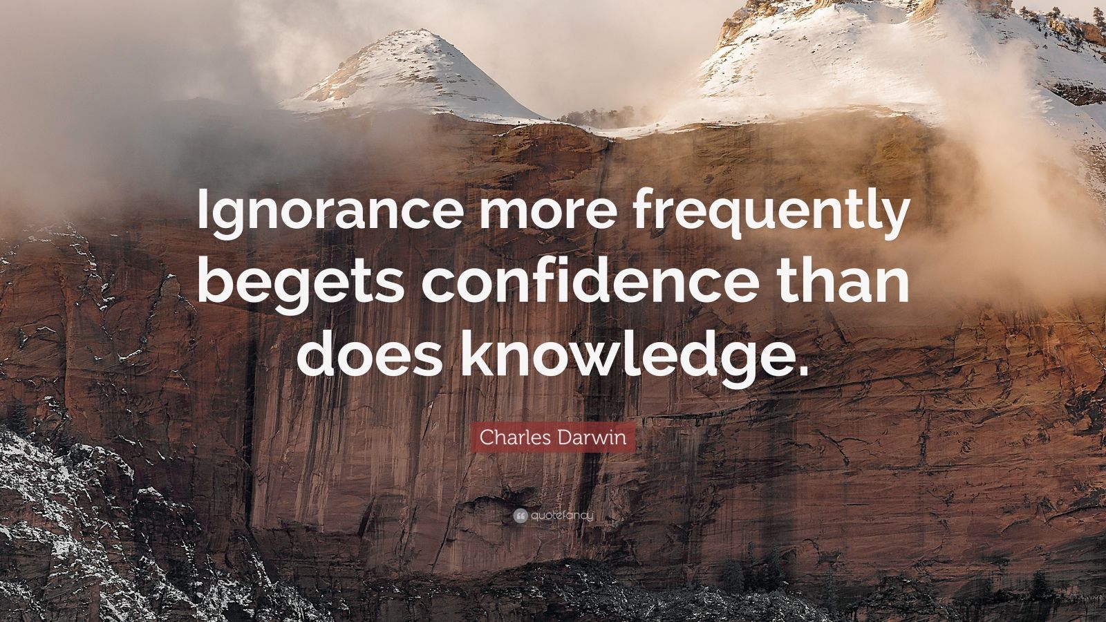 Charles Darwin Quote: “Ignorance more frequently begets confidence than ...