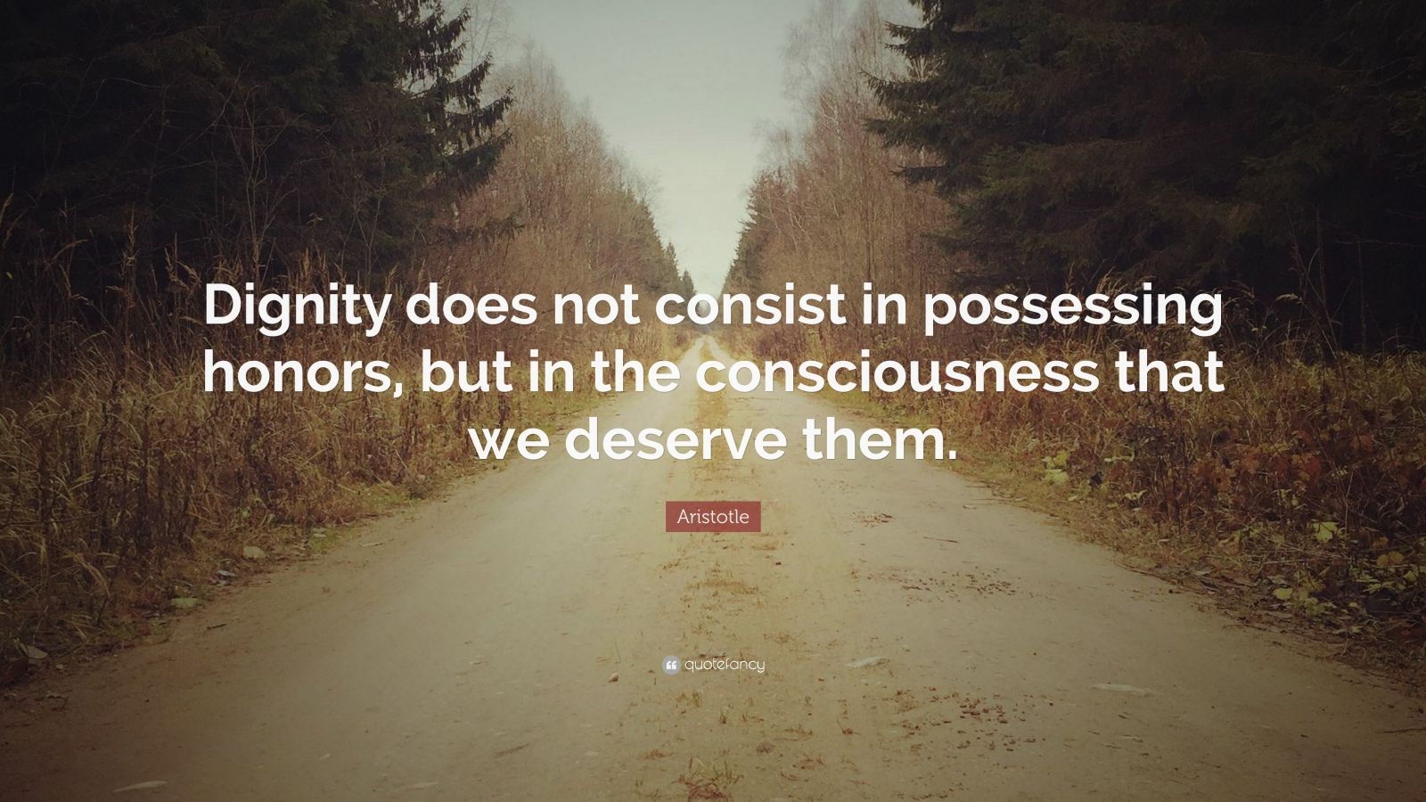 Aristotle Quote: “Dignity does not consist in possessing honors, but in ...
