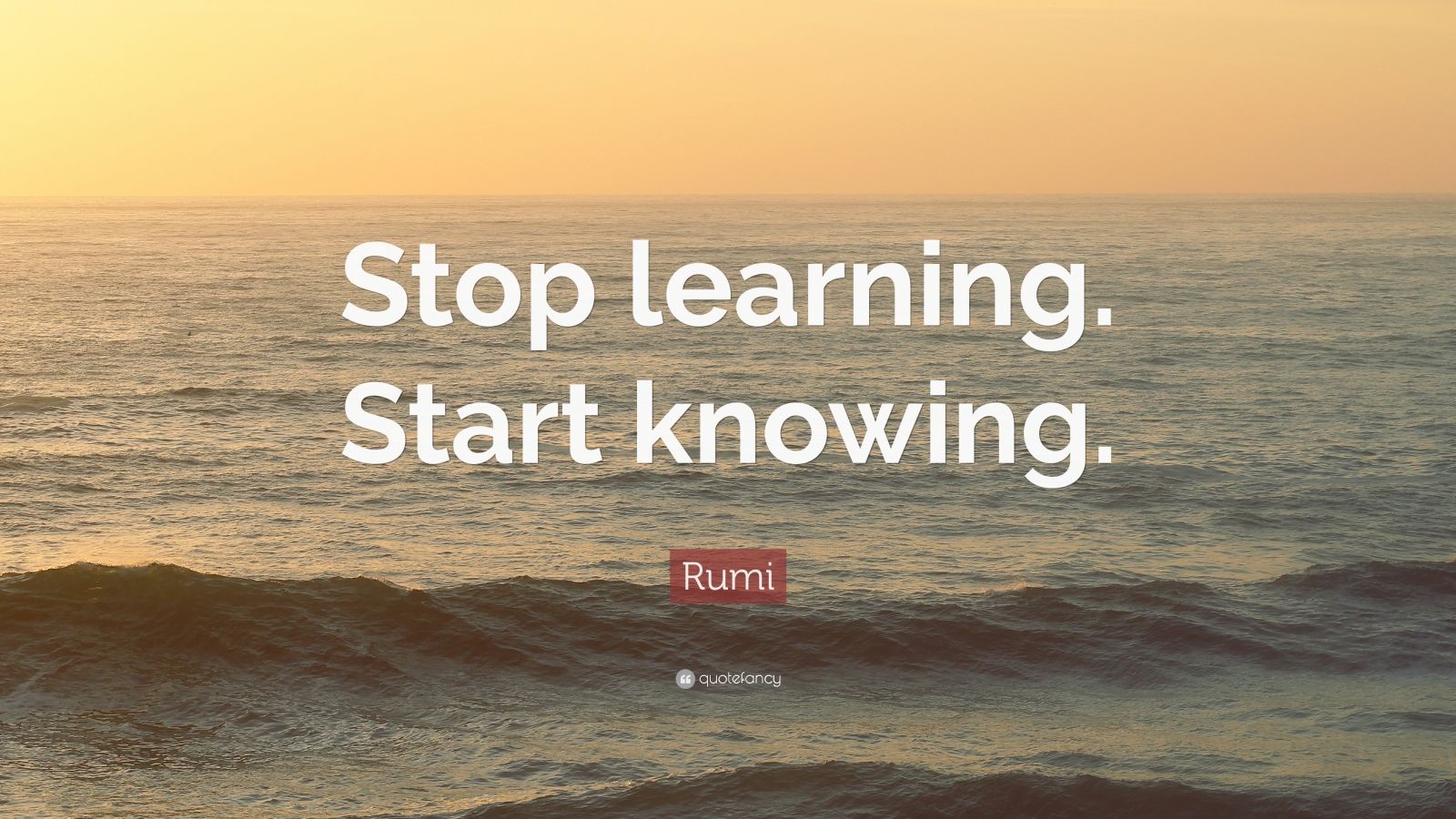 Rumi Quote: “Stop learning. Start knowing.” (12 wallpapers) - Quotefancy