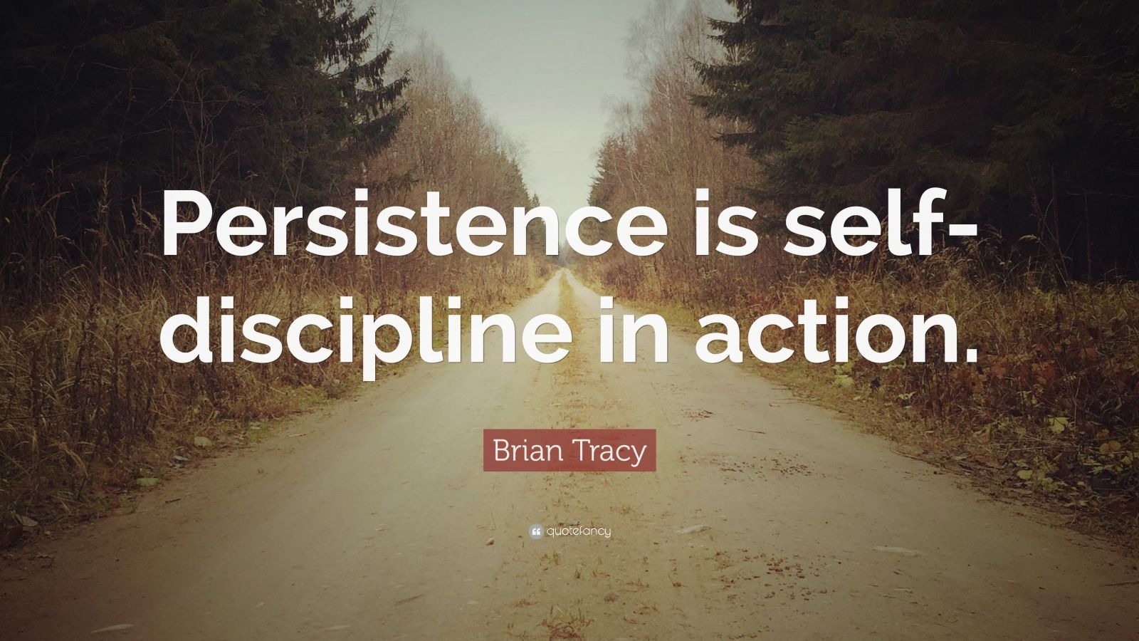 Brian Tracy Quote: “Persistence is self-discipline in action.” (12 ...