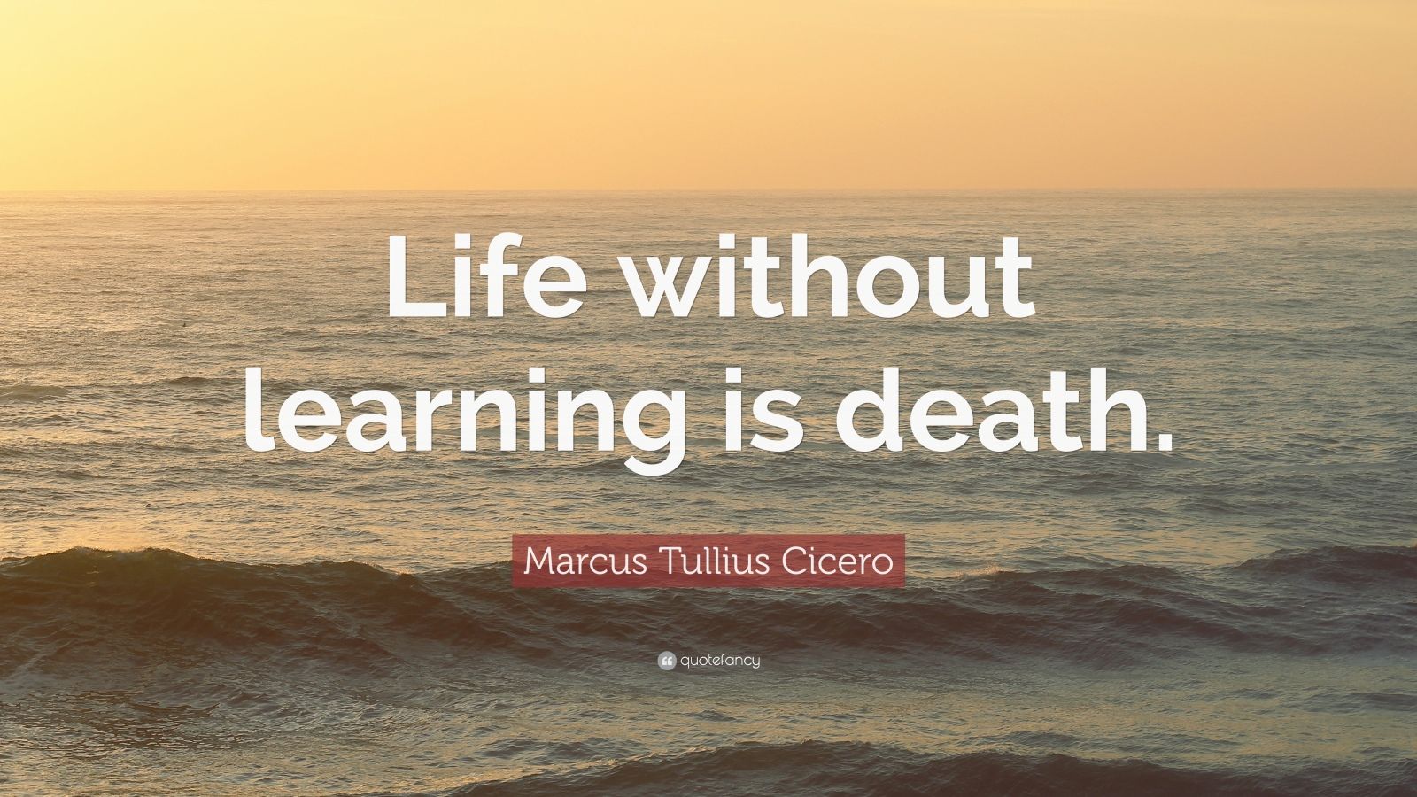 Marcus Tullius Cicero Quote: “Life without learning is death.” (11 ...
