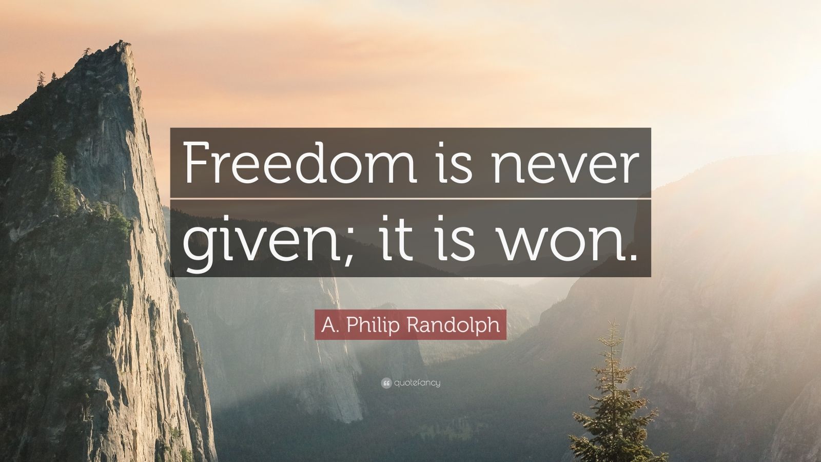 A. Philip Randolph Quote: “Freedom is never given; it is won.” (10 ...