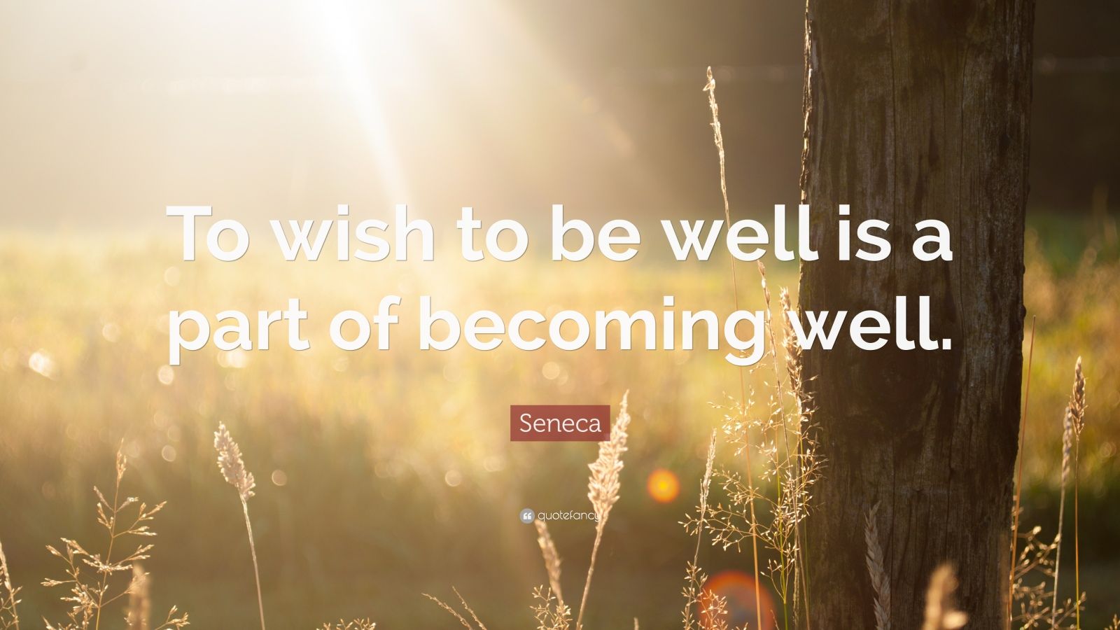Seneca Quote: “To wish to be well is a part of becoming well.”