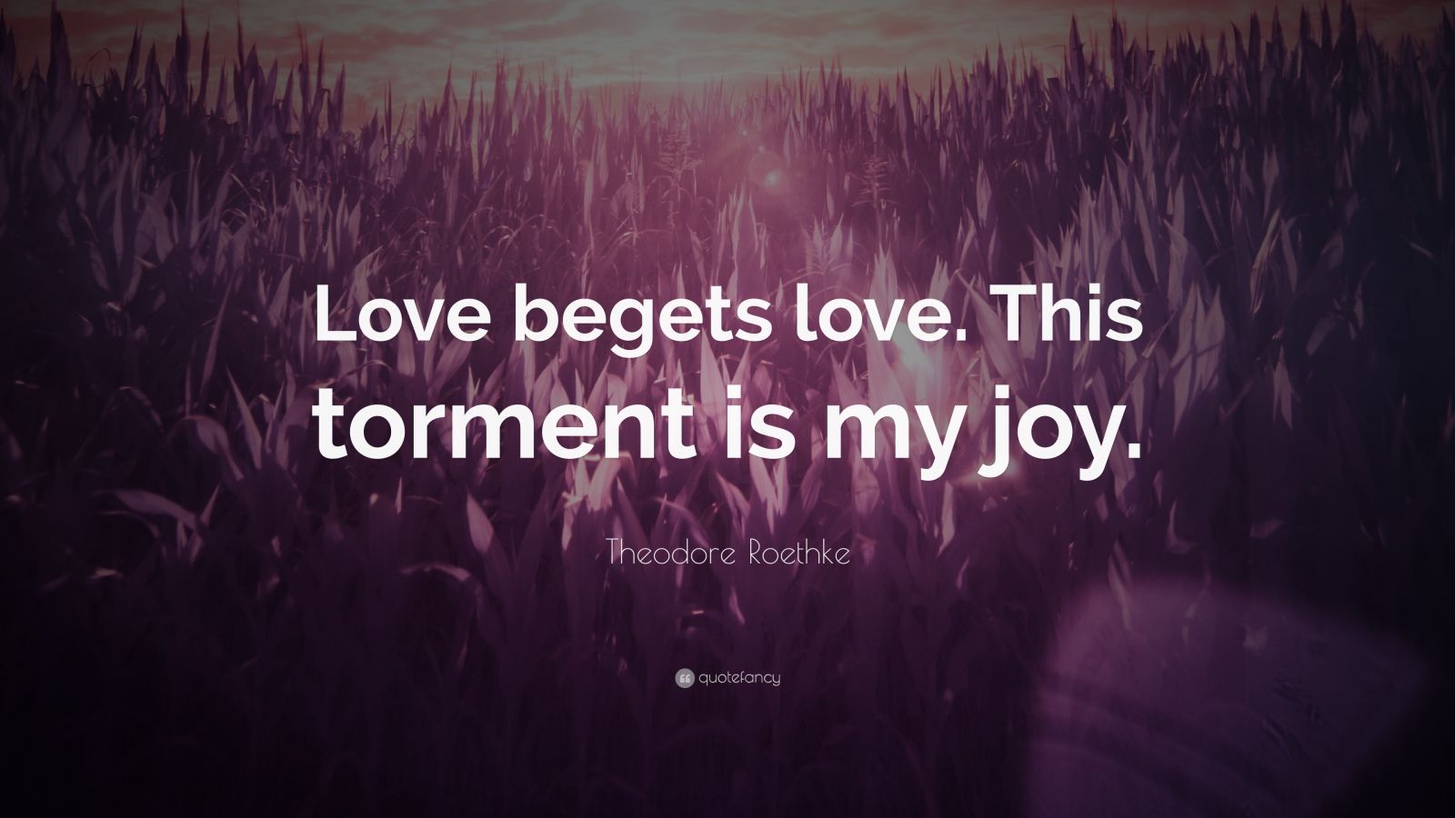 Theodore Roethke Quote: “Love begets love. This torment is my joy.” (10 ...