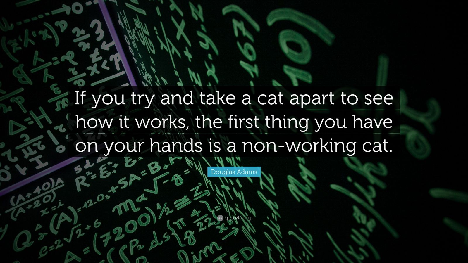 Douglas Adams Quote: “If you try and take a cat apart to see how it ...