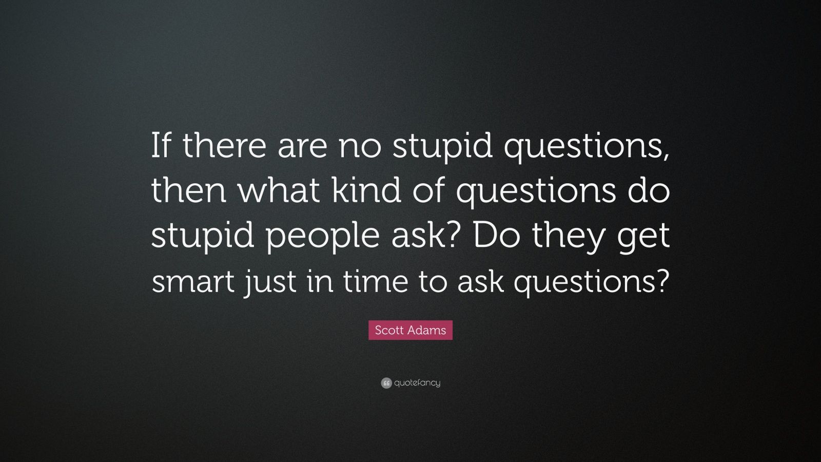 Scott Adams Quote: “If there are no stupid questions, then what kind of ...