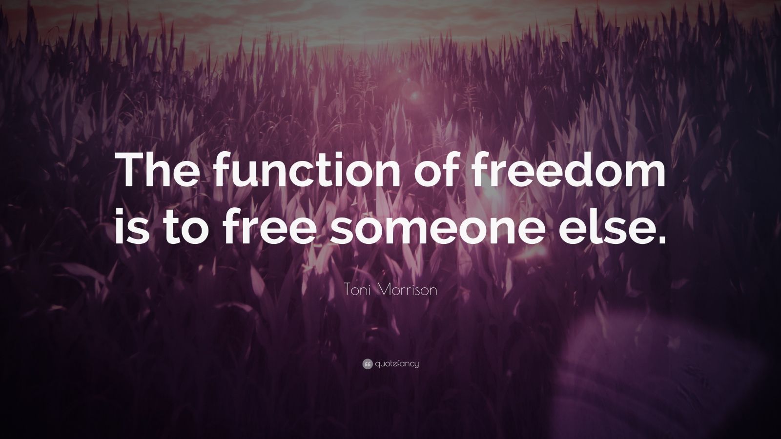 Toni Morrison Quote: “The function of freedom is to free someone else ...