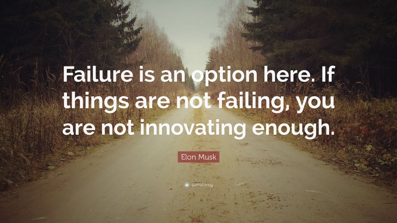 Elon Musk Quote: “Failure is an option here. If things are not failing ...