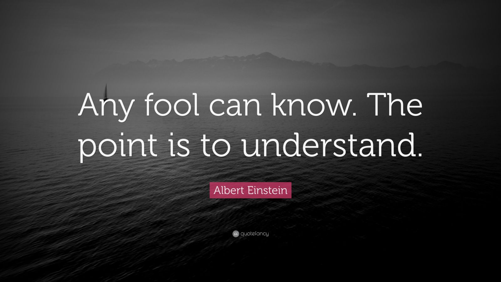 Albert Einstein Quote: “Any fool can know. The point is to understand ...