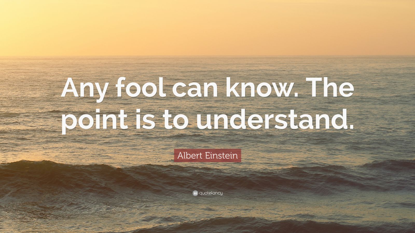 Albert Einstein Quote: “Any fool can know. The point is to understand ...