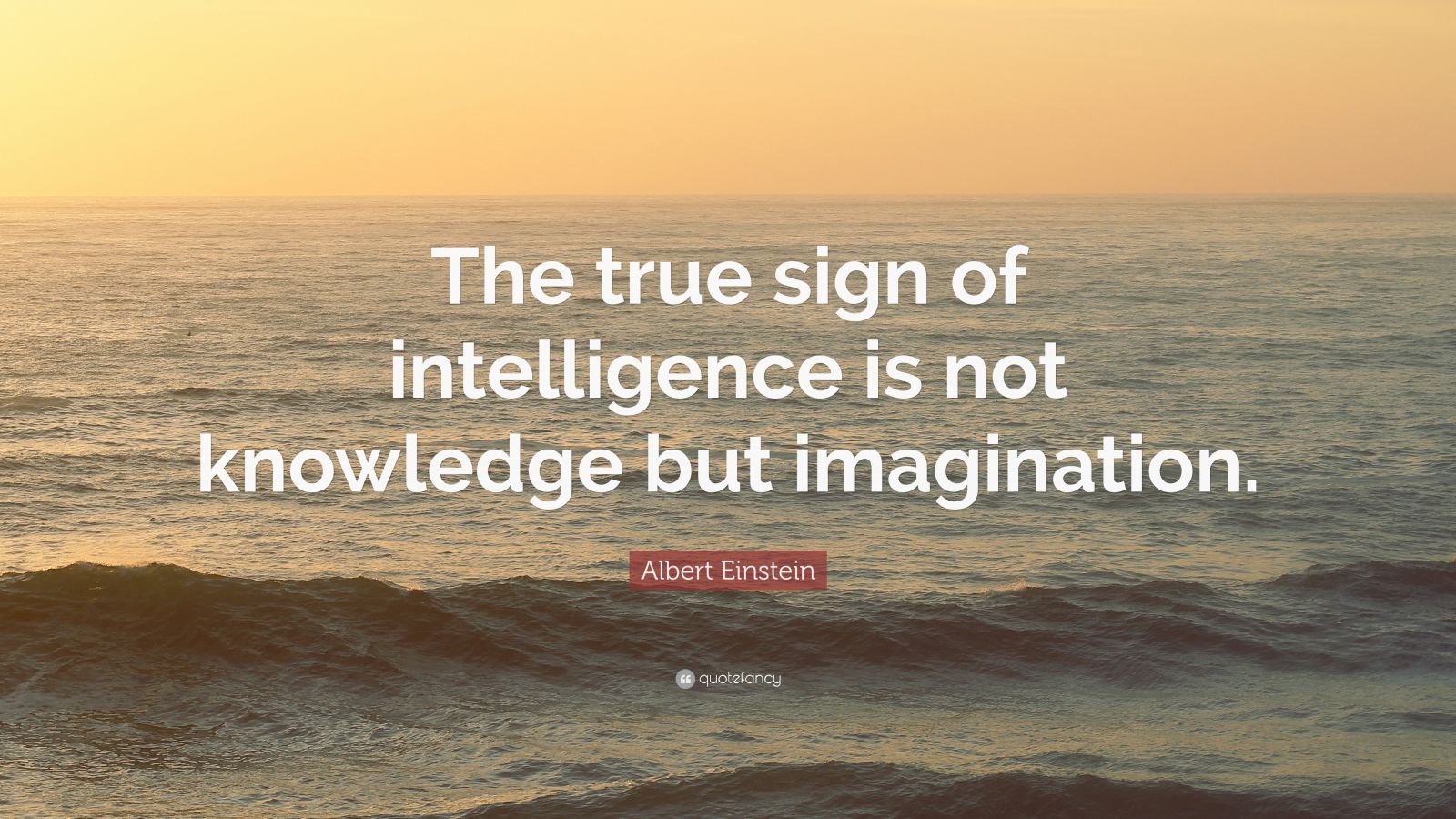 Albert Einstein Quote The True Sign Of Intelligence Is Not Knowledge
