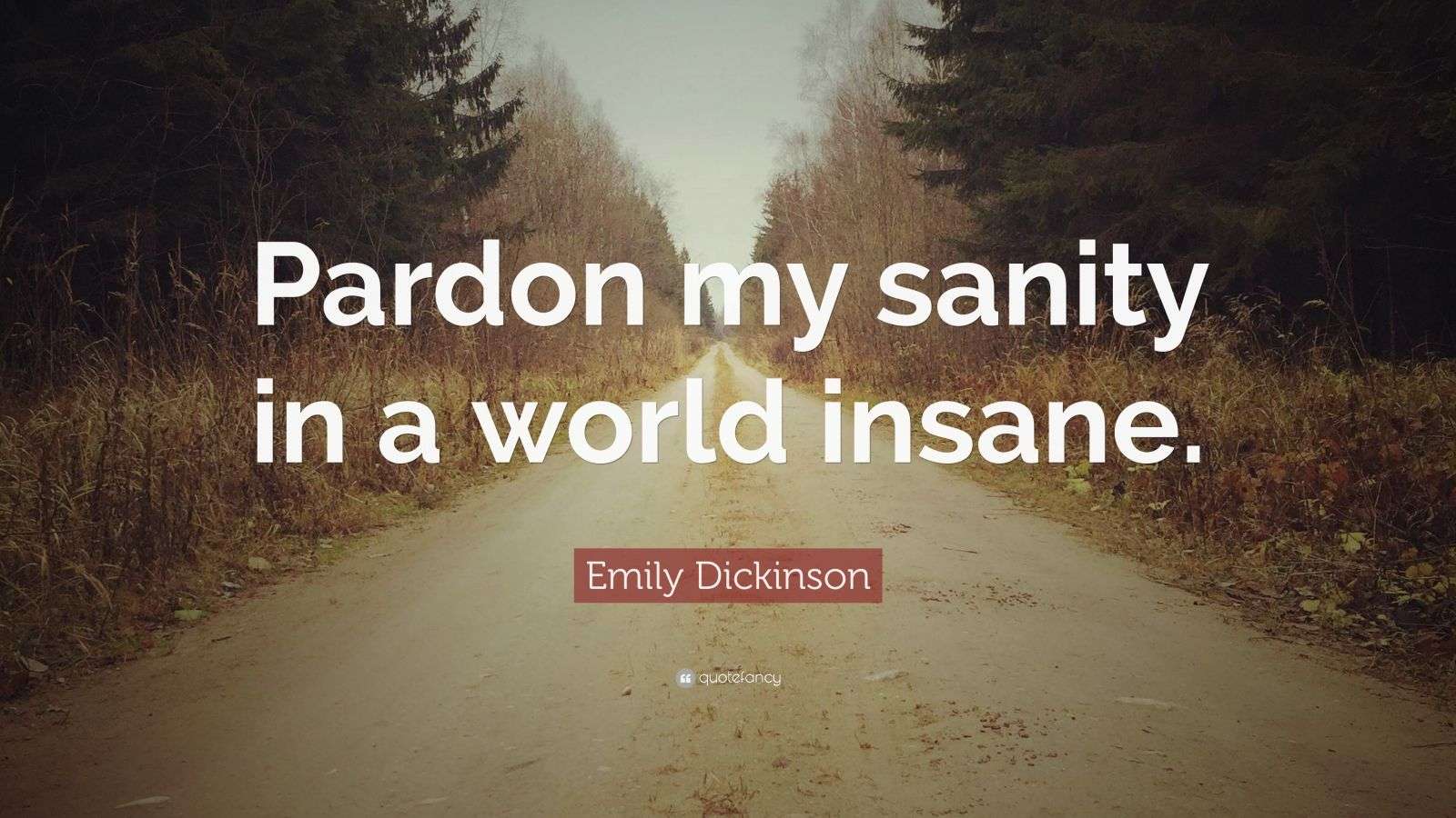 Emily Dickinson Quote: “Pardon my sanity in a world insane.” (23 ...
