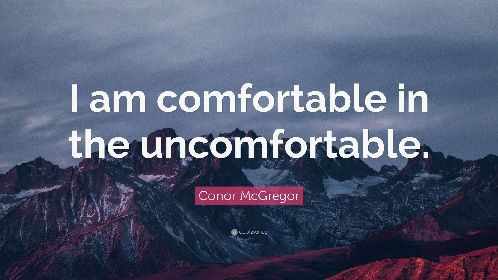Conor McGregor Quote: “I am comfortable in the uncomfortable.” (16 ...