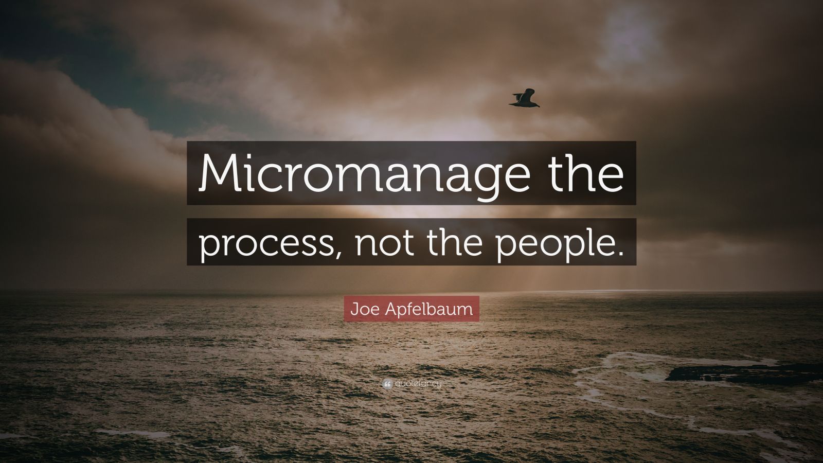 Joe Apfelbaum Quote: “Micromanage the process, not the people.” (18 ...