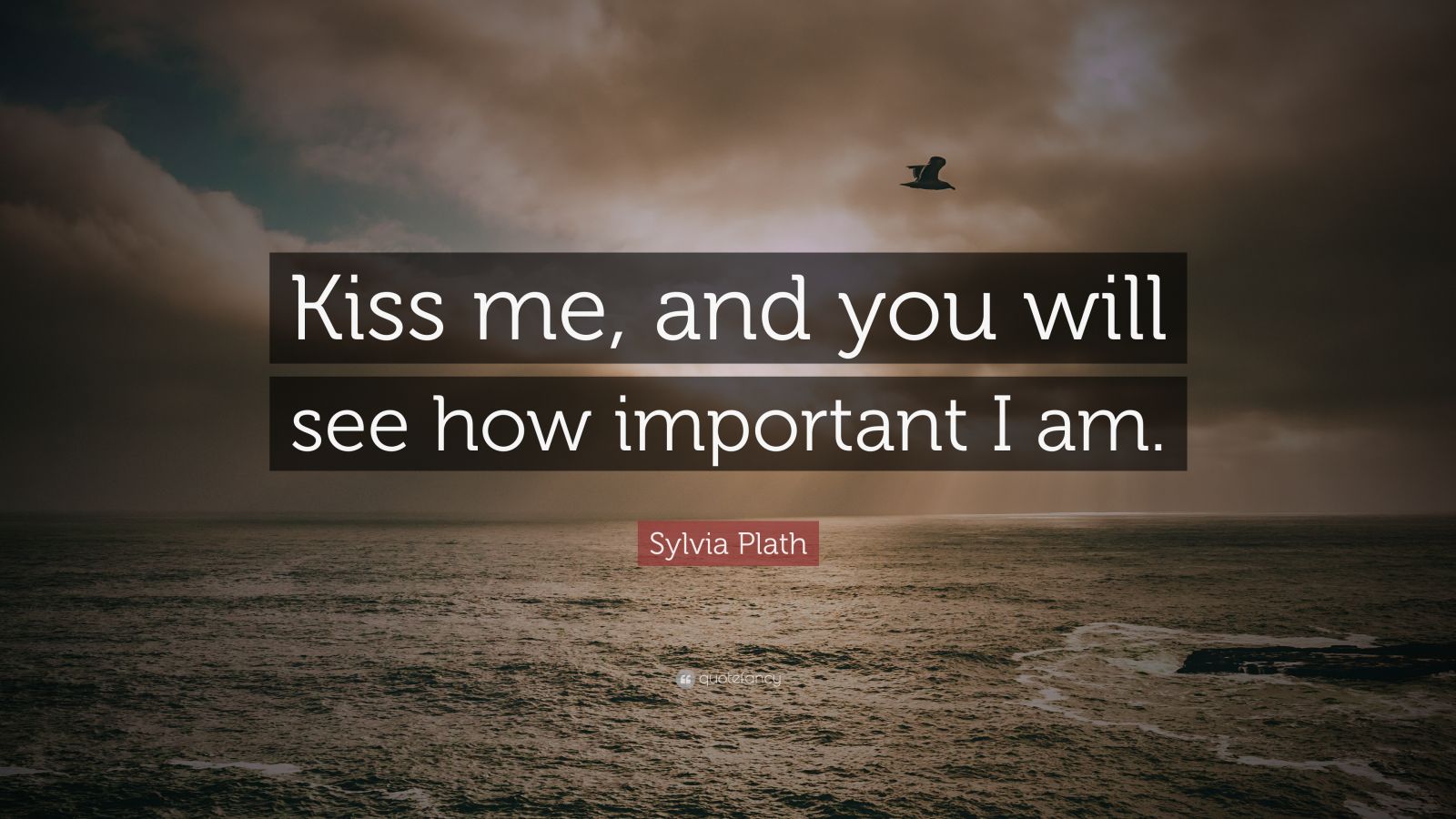 Sylvia Plath Quote: “Kiss me, and you will see how important I am.” (14 ...