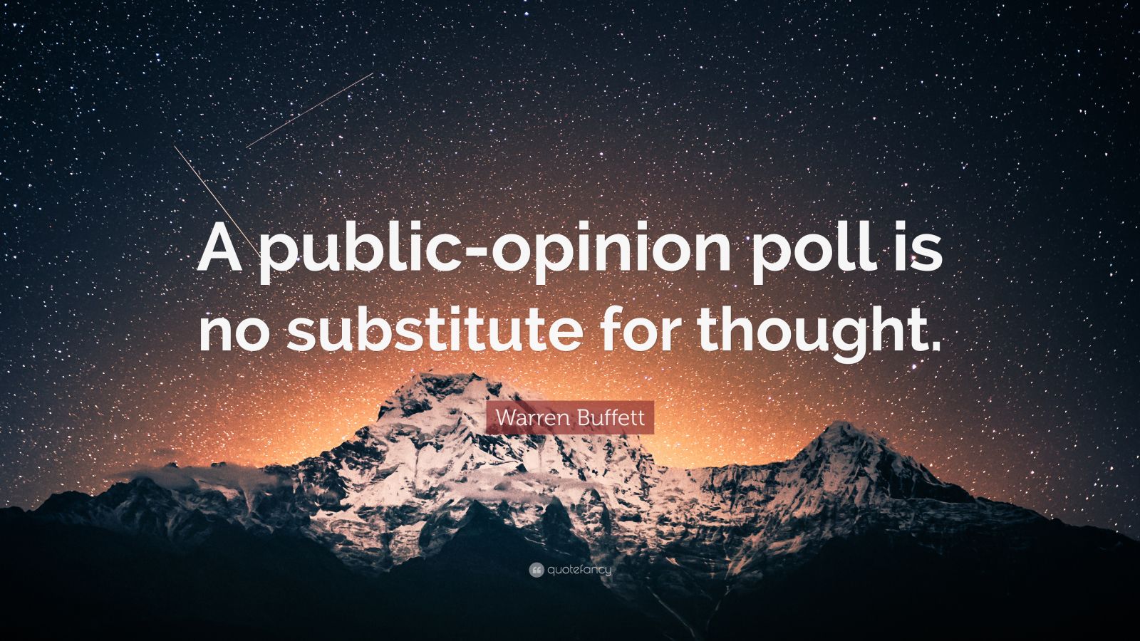 Warren Buffett Quote: “A public-opinion poll is no substitute for ...