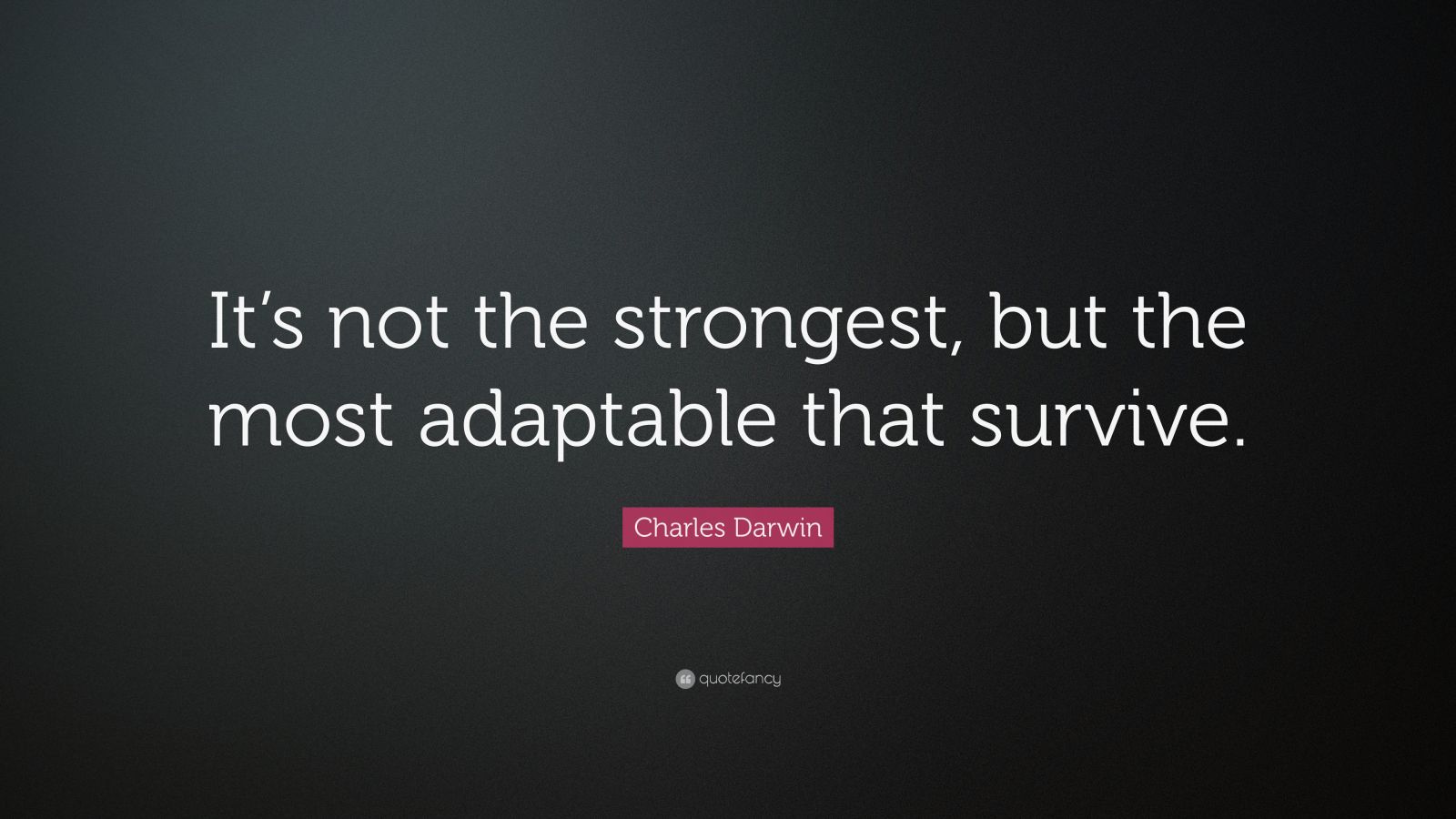 Charles Darwin Quote: “It’s not the strongest, but the most adaptable ...