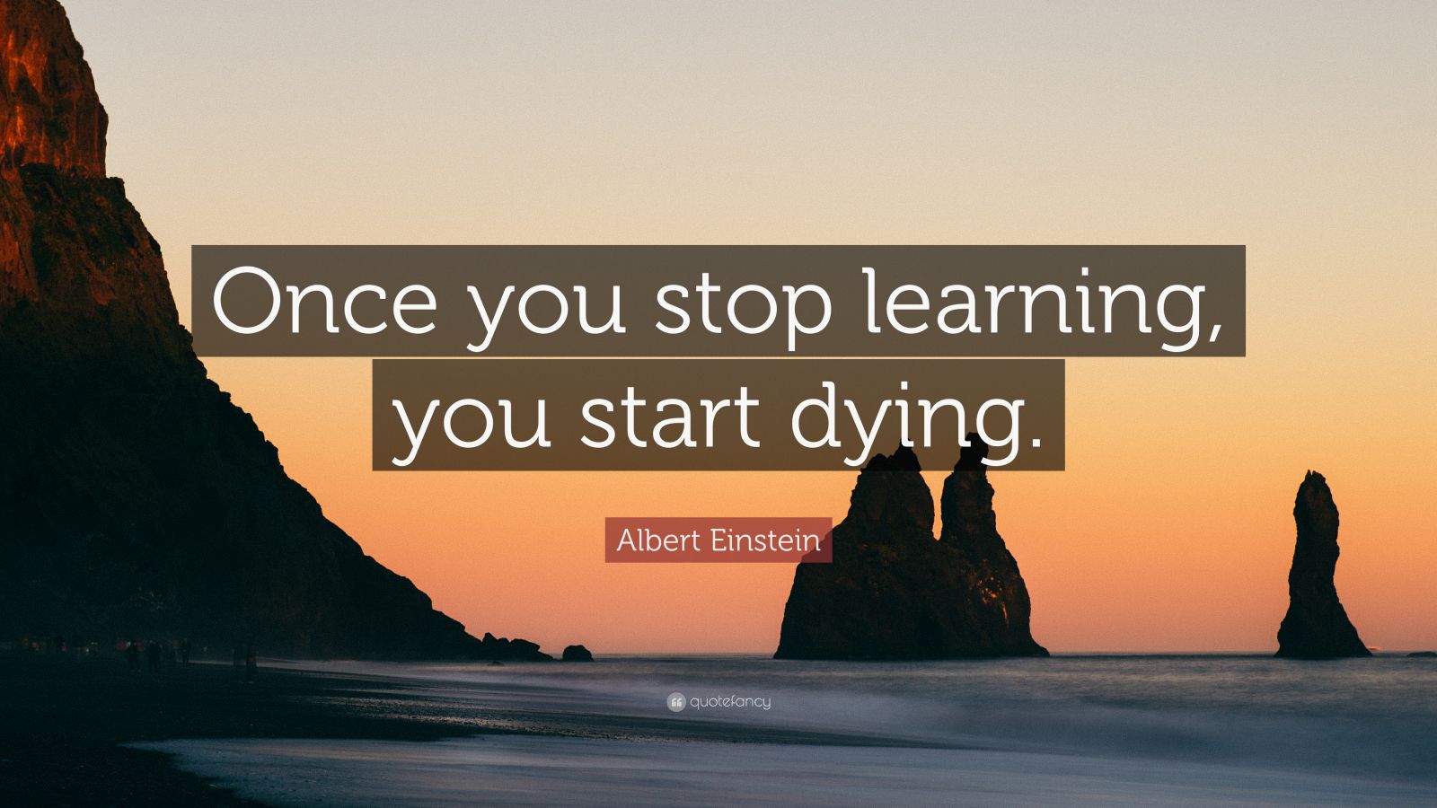 Albert Einstein Quote: “Once you stop learning, you start dying.” (12 ...