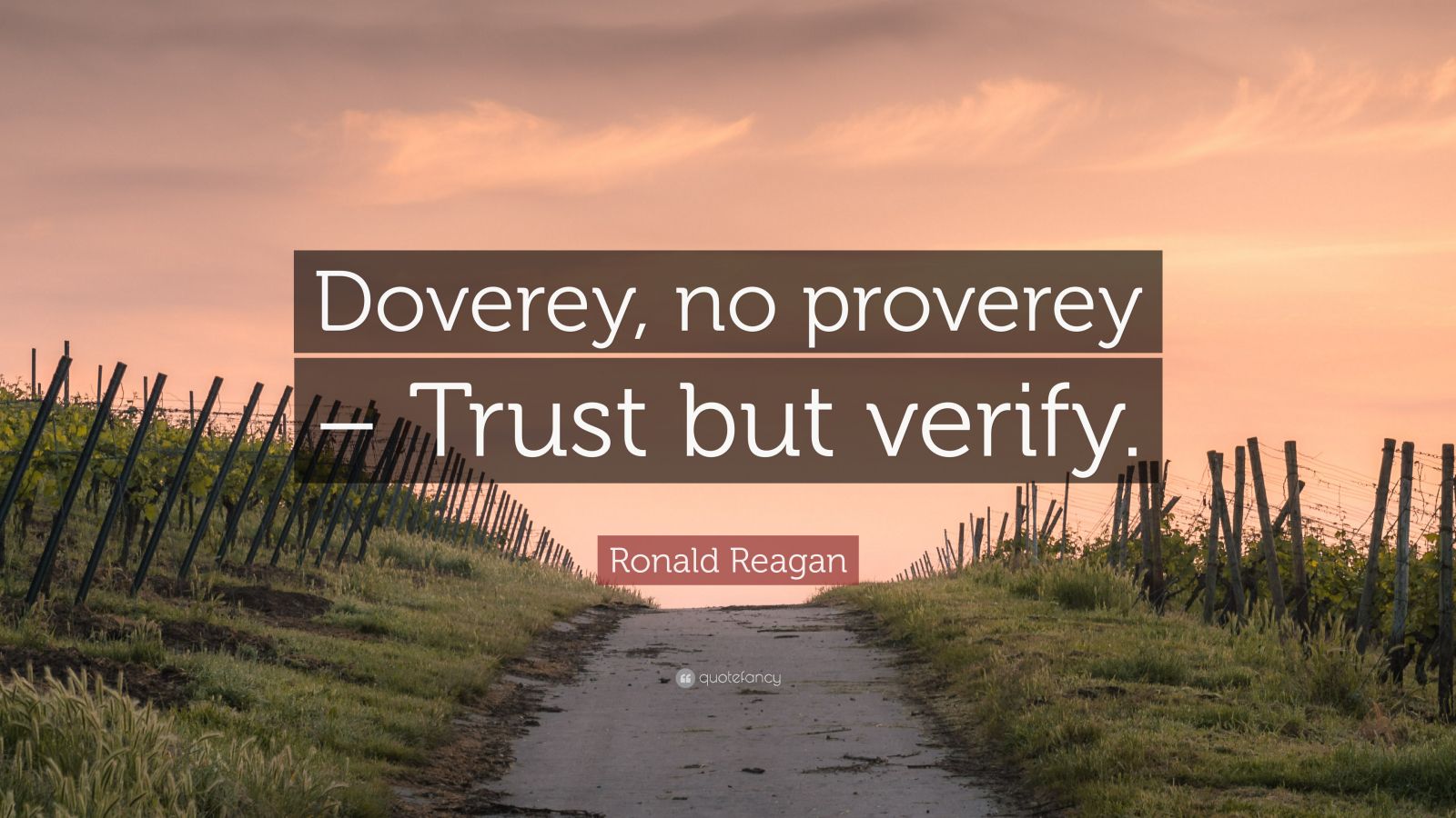 Ronald Reagan Quote: “Doverey, no proverey – Trust but verify.” (12 ...